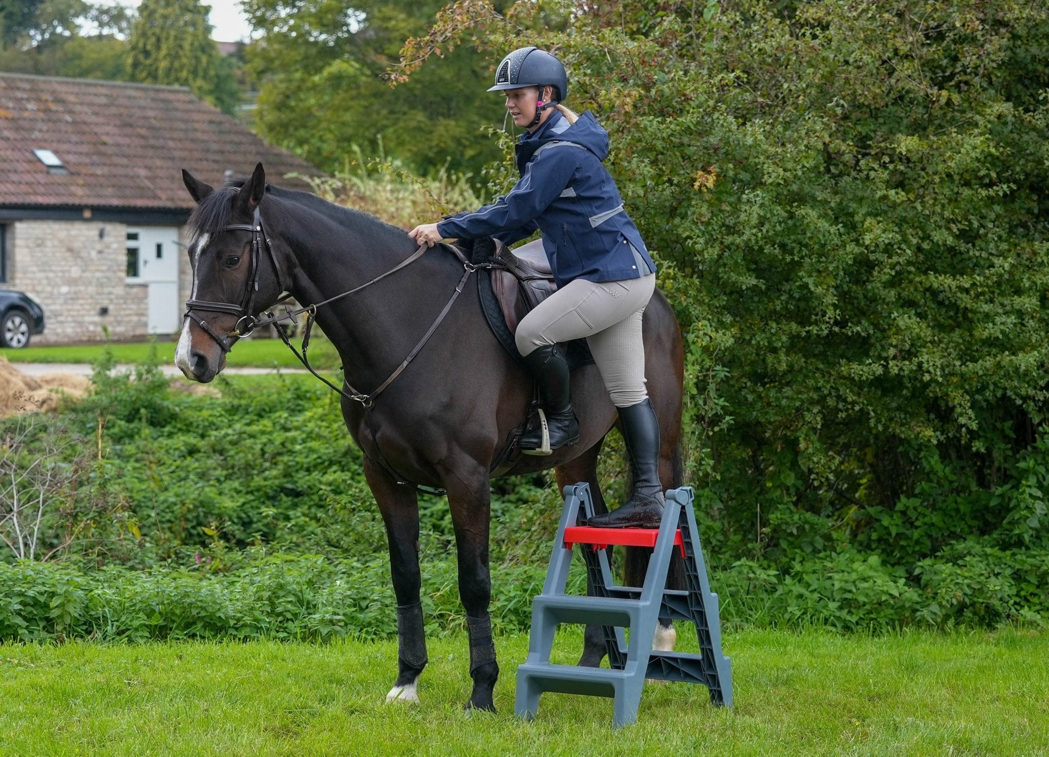 RED GORILLA LAUNCHES THE ‘STEP UP’ A GAME-CHANGER FOR HORSE OWNERS ...