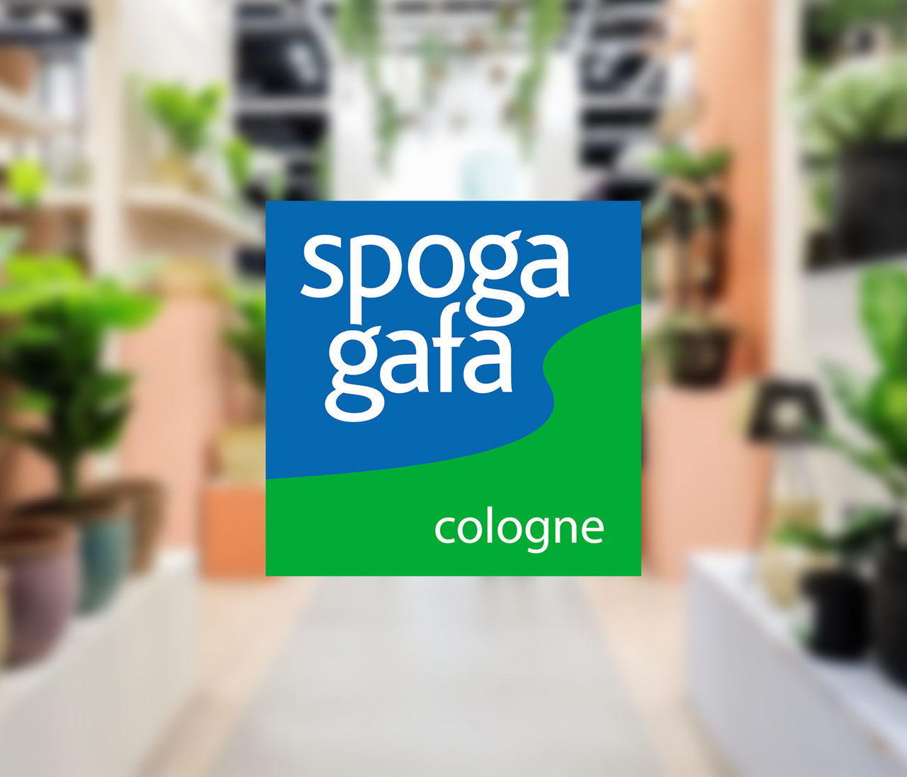 Shows & Exhibitions – Red Gorilla